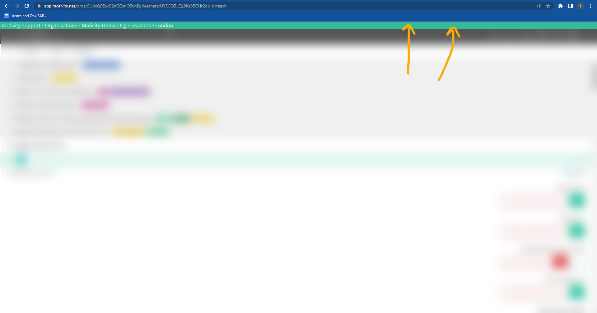 Disappearing Data and Connectivity Issues